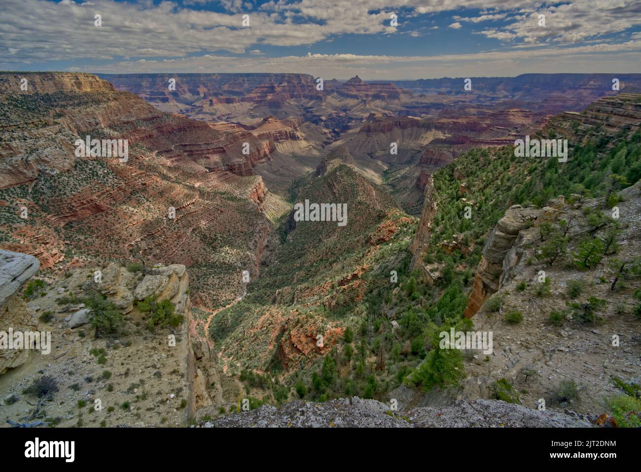Grand Canyon viewed from the Twin Views Overlook Stock Photo - Alamy