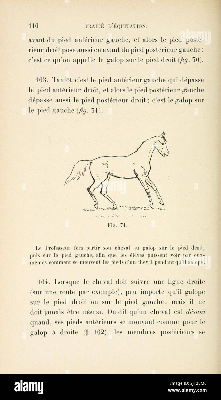 Traité d'équitation ... avec ... figures dessinées spécialement pour l ...