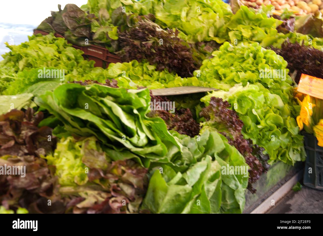 Croix rousse market hi-res stock photography and images - Alamy