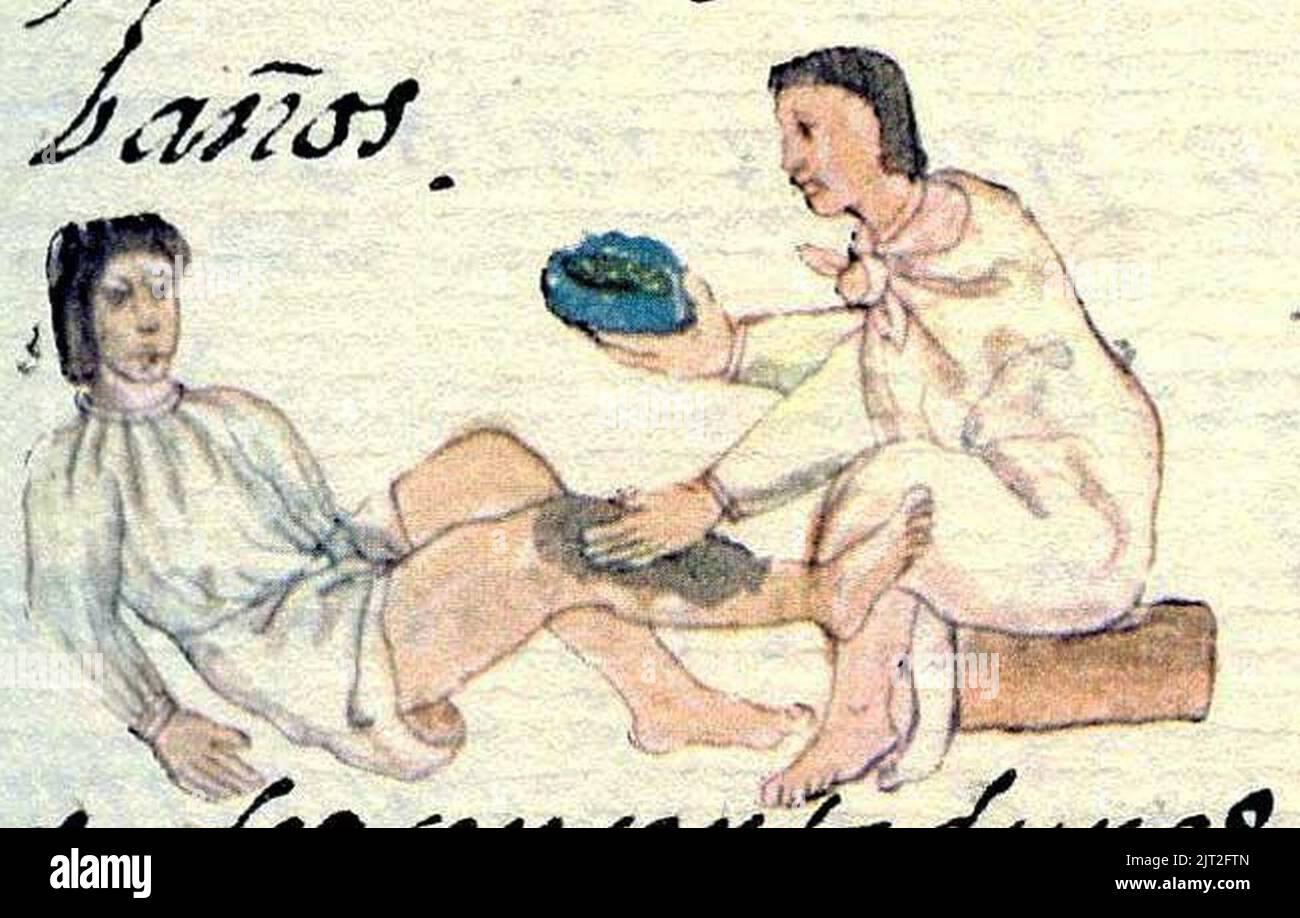 Florence codex hi-res stock photography and images - Alamy