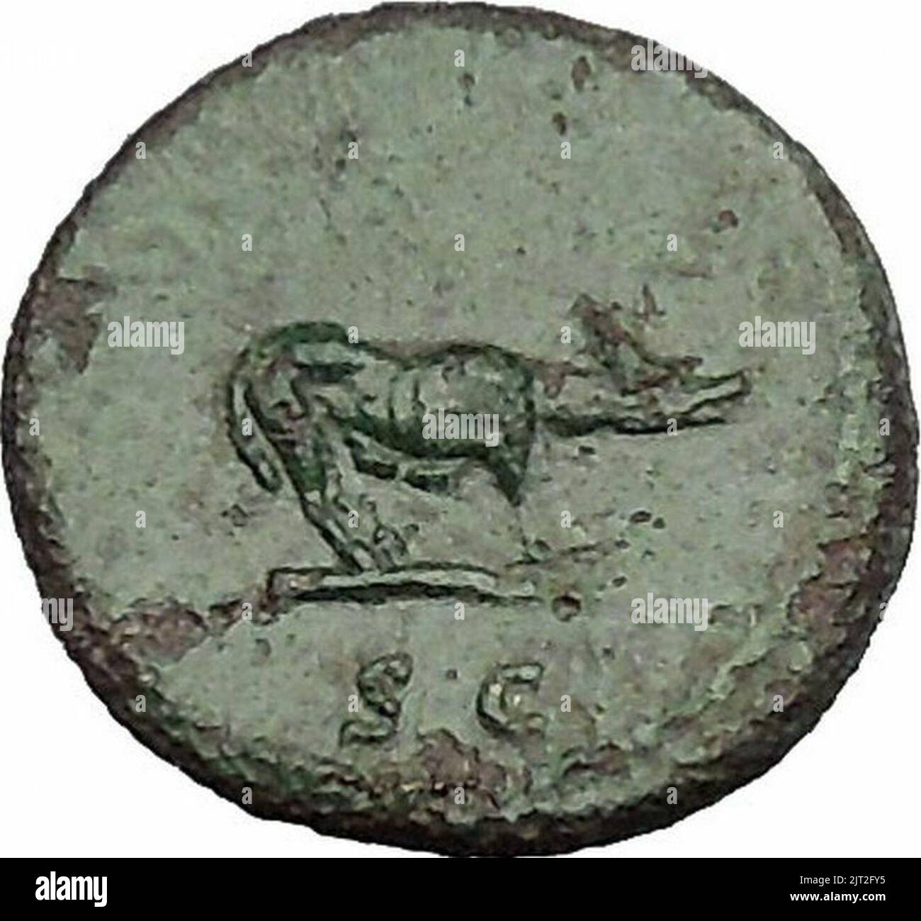 TRAJAN 98AD RARE She Wolf ''Mother'' to Romulus & Remus Ancient Roman ...