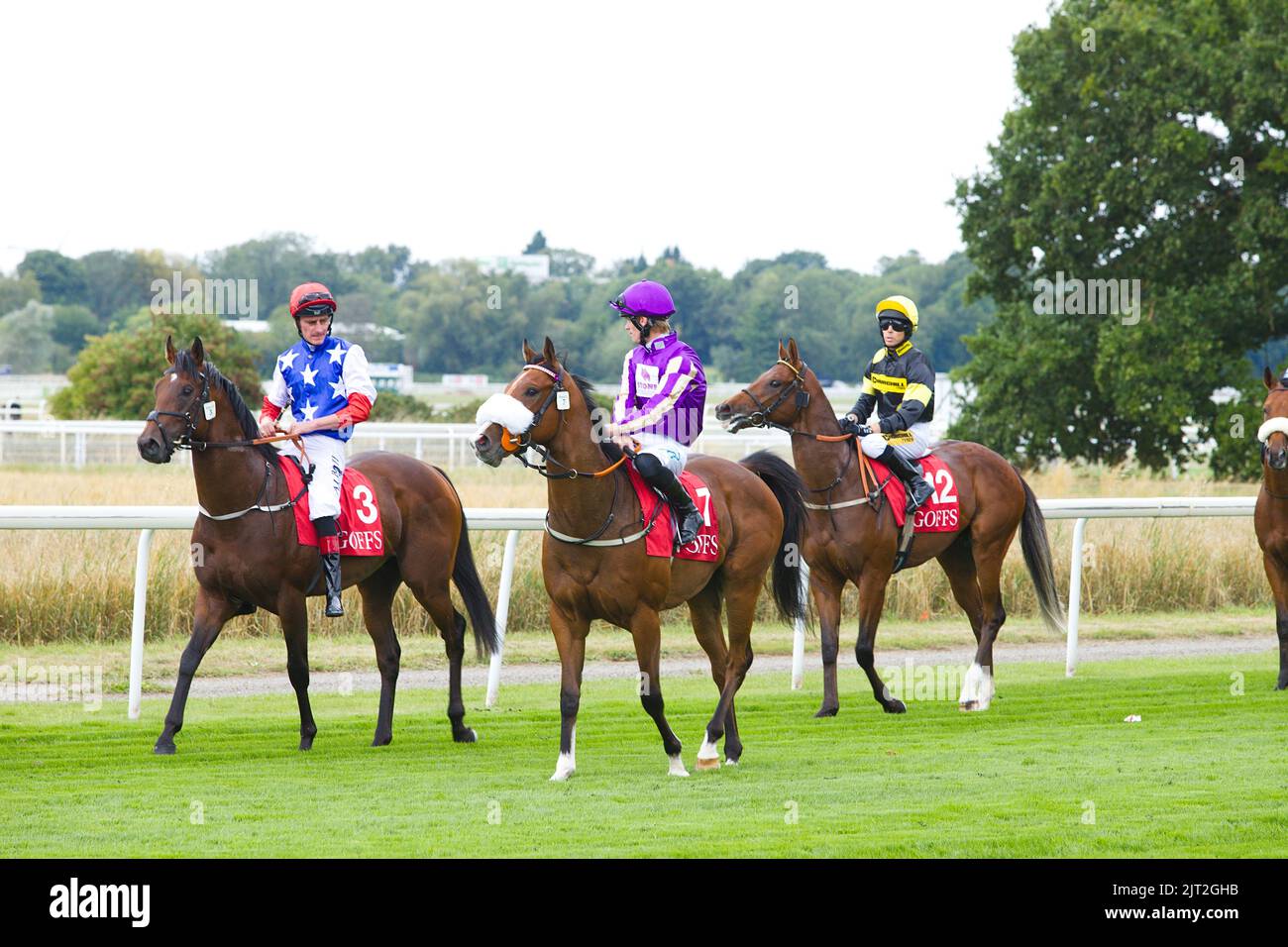A group of jockeys ride their horses to the start during the Ebor ...
