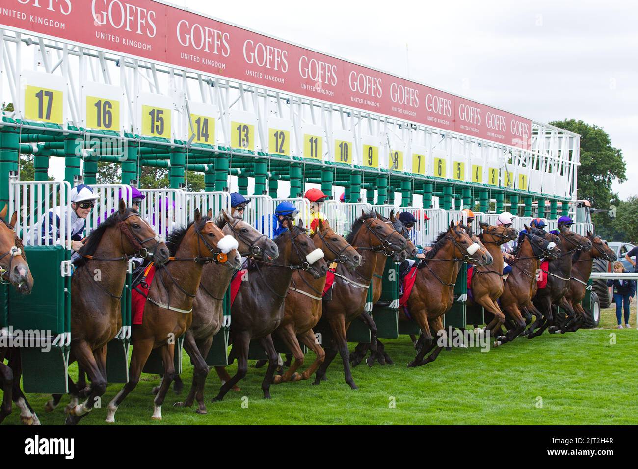 Racehorses and their jockeys leave the starting gate during the Goffs ...