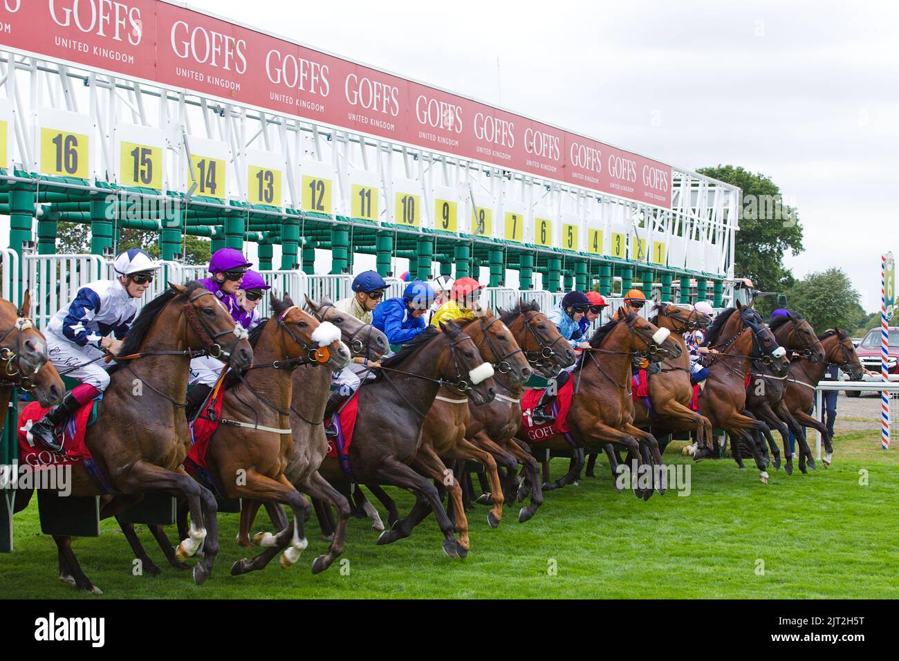 Racehorses and their jockeys leave the starting gate during the Goffs ...