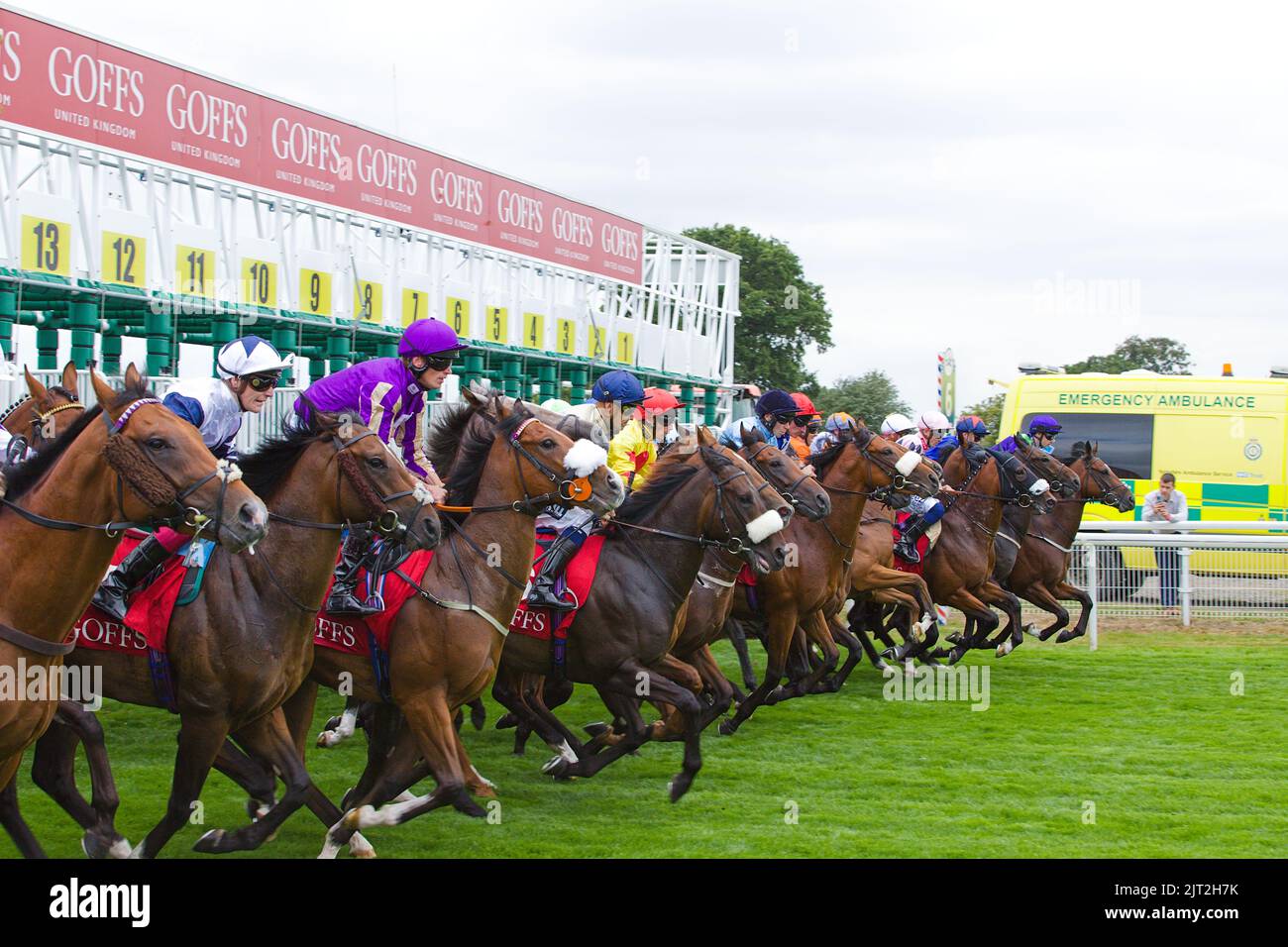 Racehorses and their jockeys leave the starting gate during the Goffs ...