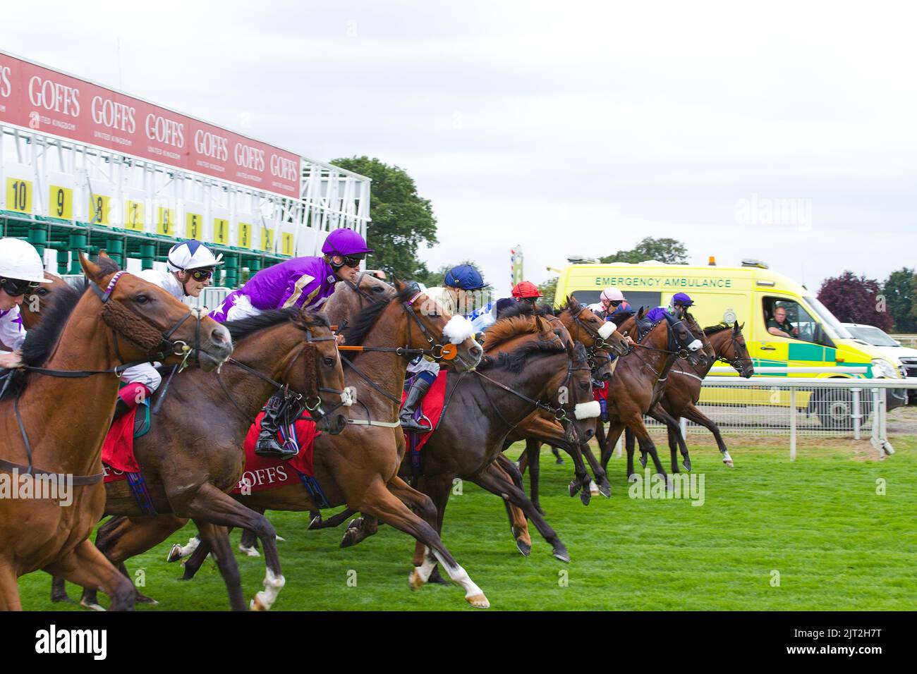 Racehorses and their jockeys leave the starting gate during the Goffs ...