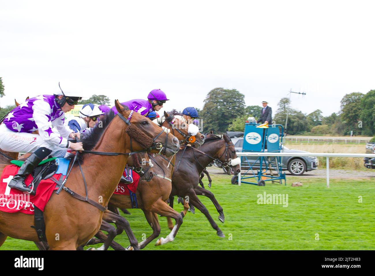 Goffs uk harry beeby premier yearling stakes hi-res stock photography ...