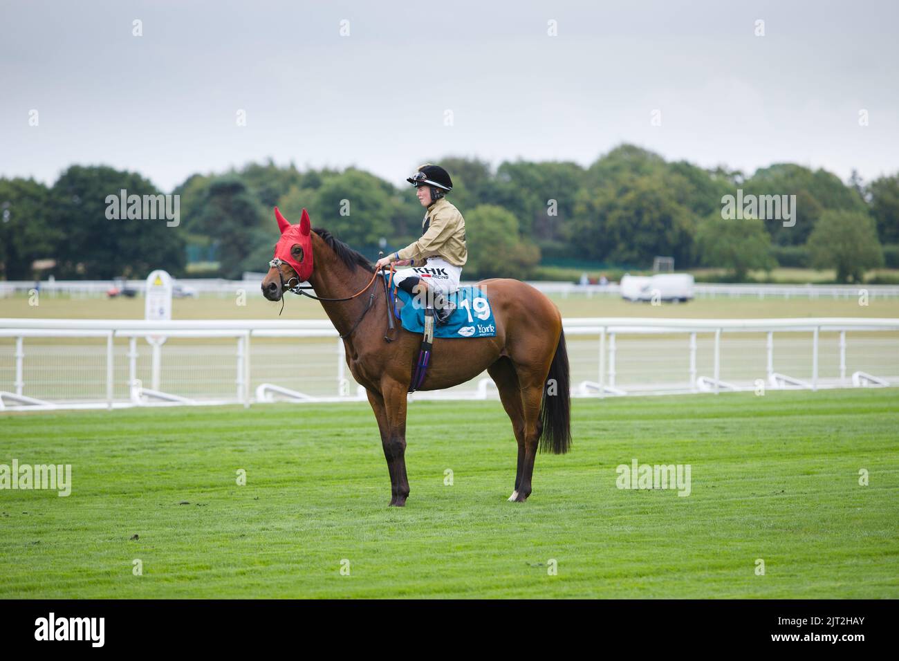 Jockey saffie osborne hi-res stock photography and images - Alamy