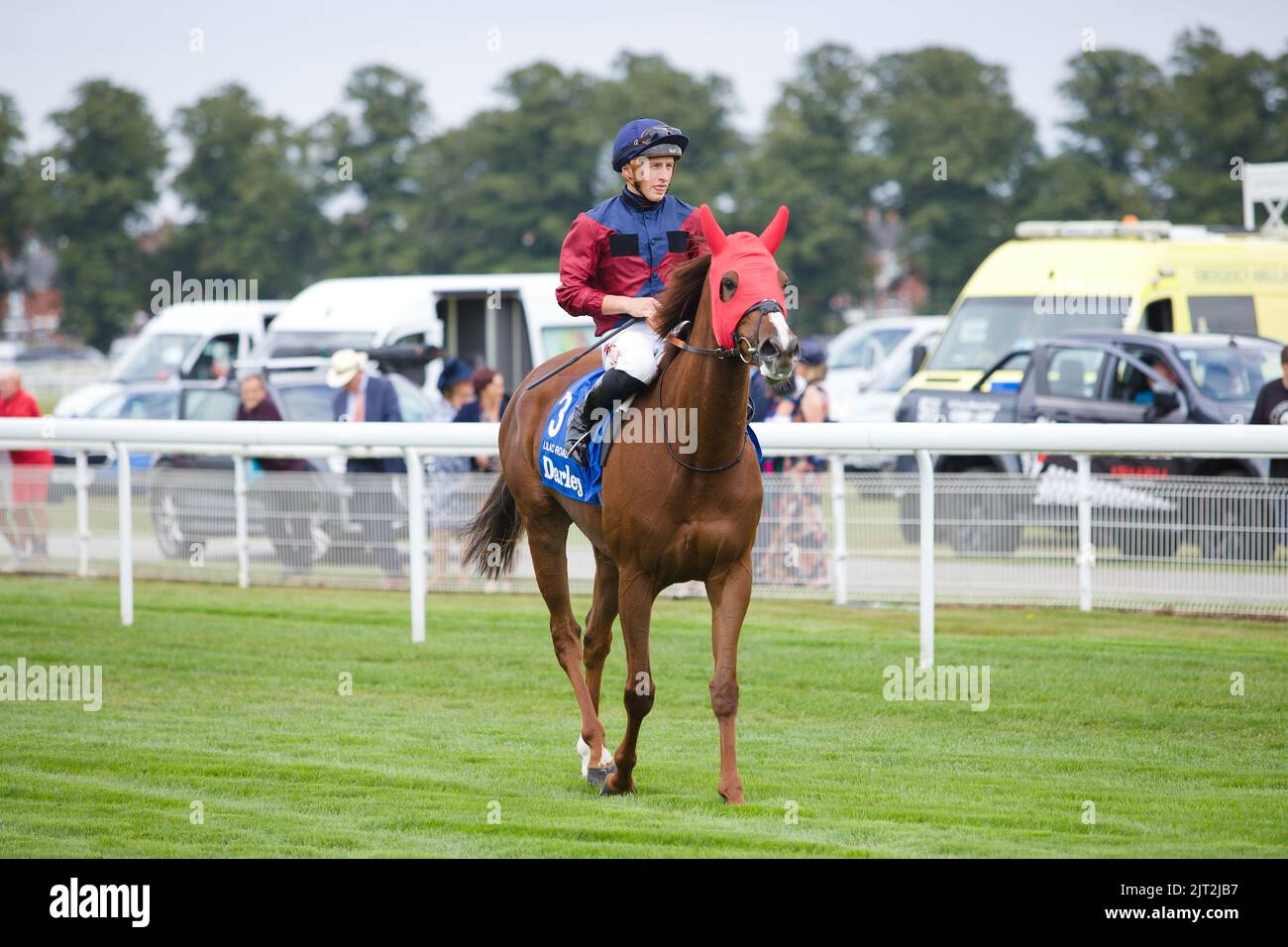 Jockey Tom Marquand on Lilac Road at York Races Stock Photo - Alamy