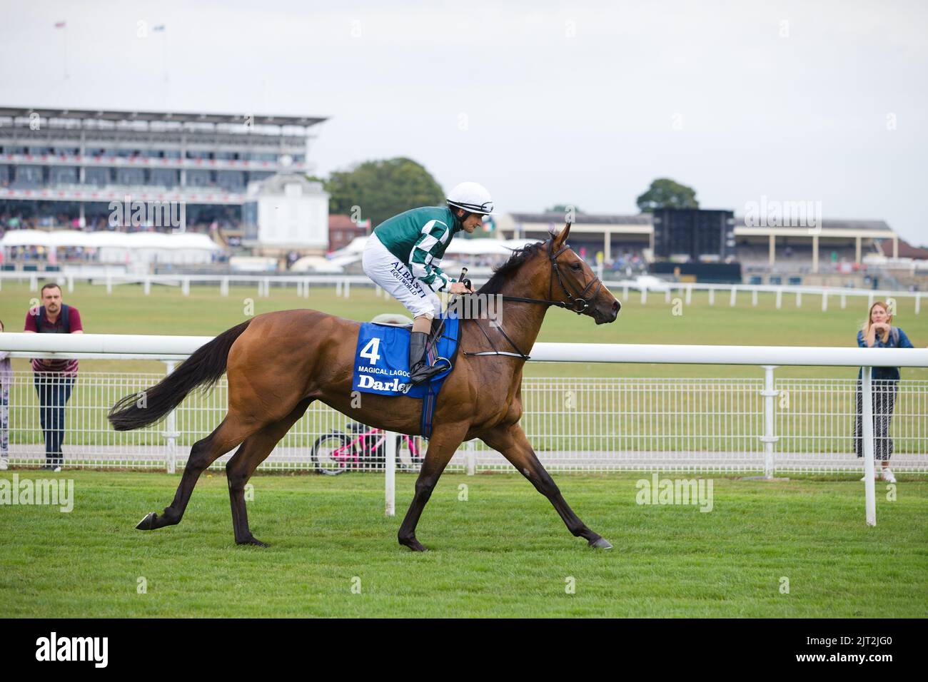Jockey Shane Foley on Magical Lagoon at York Races Stock Photo - Alamy