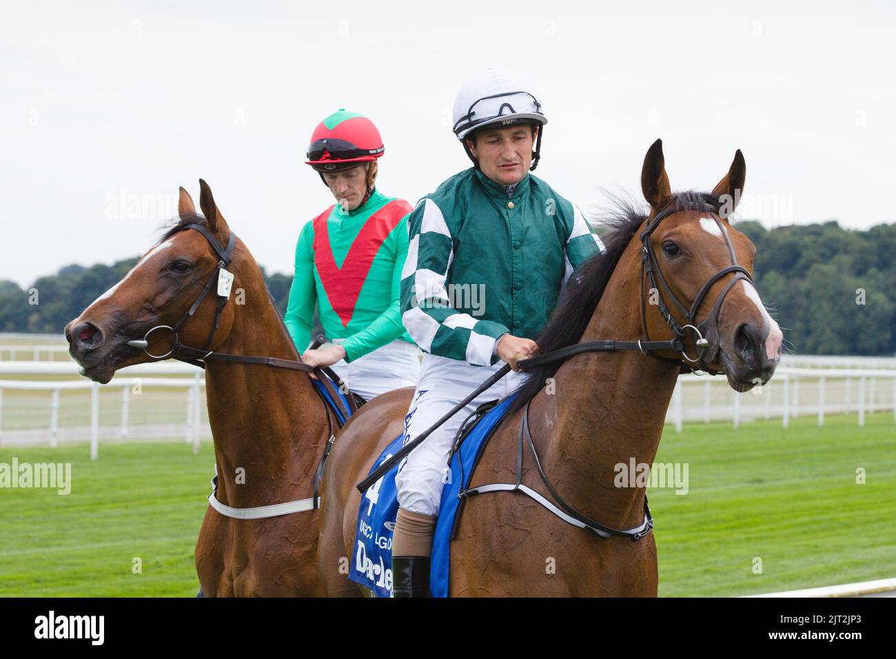 Shane foley jockey hi-res stock photography and images - Alamy