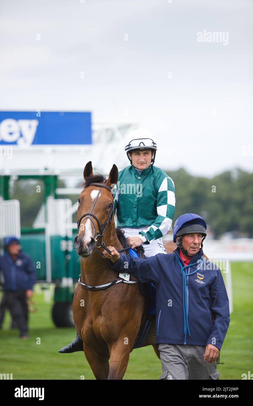 Jockey Shane Foley on Magical Lagoon at York Races Stock Photo - Alamy