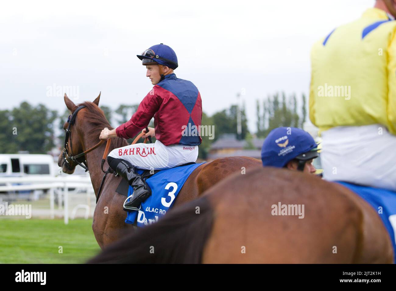 Lilac road horse hi-res stock photography and images - Alamy