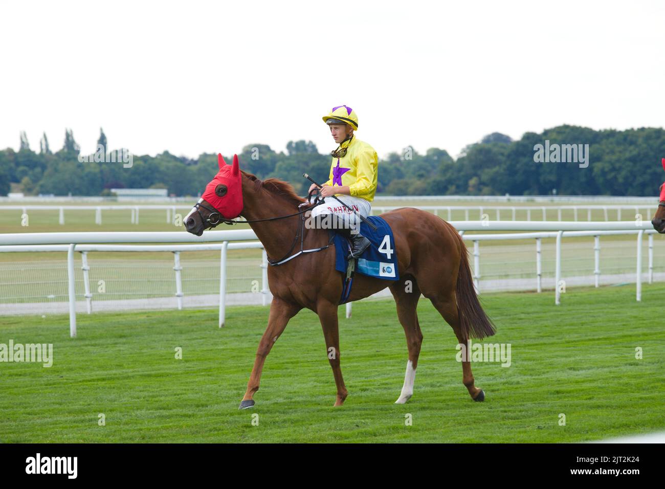 Jockey Tom Marquand on Golden Lyra at York Racecourse Stock Photo - Alamy
