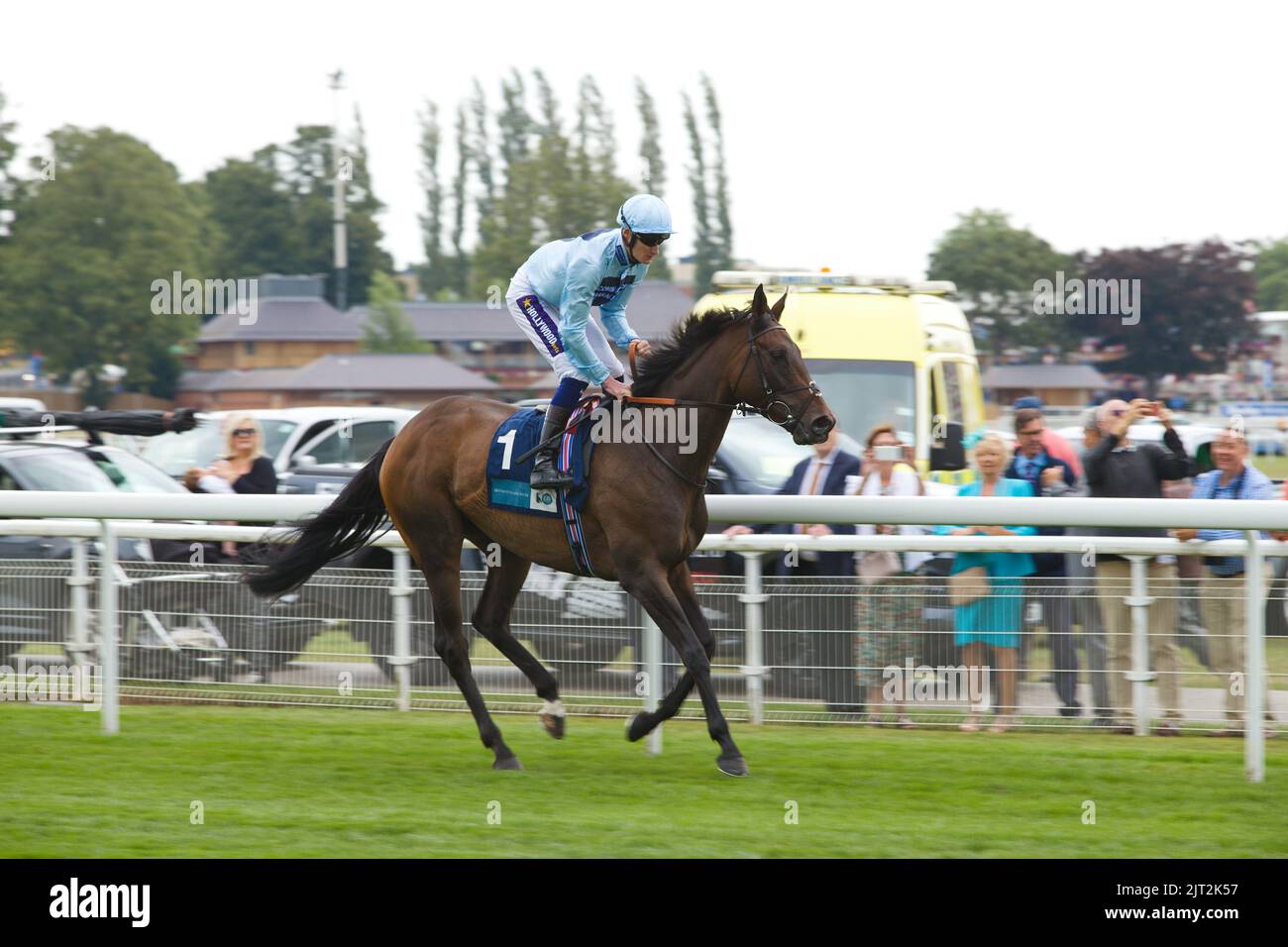 Jockey Daniel Muscutt on Pearl Beach at York Races Stock Photo - Alamy