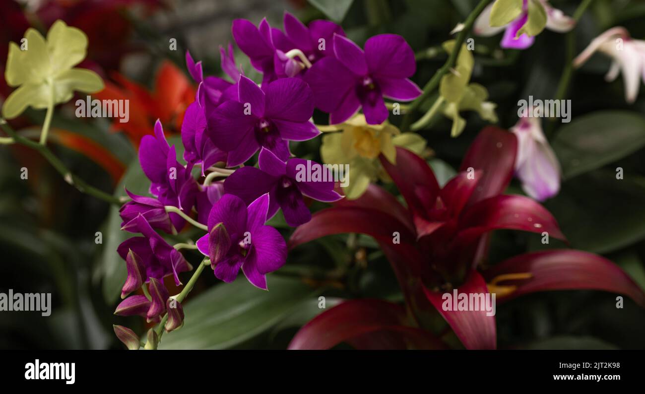 my pictures of everuthing and anything..all over the world Stock Photo ...