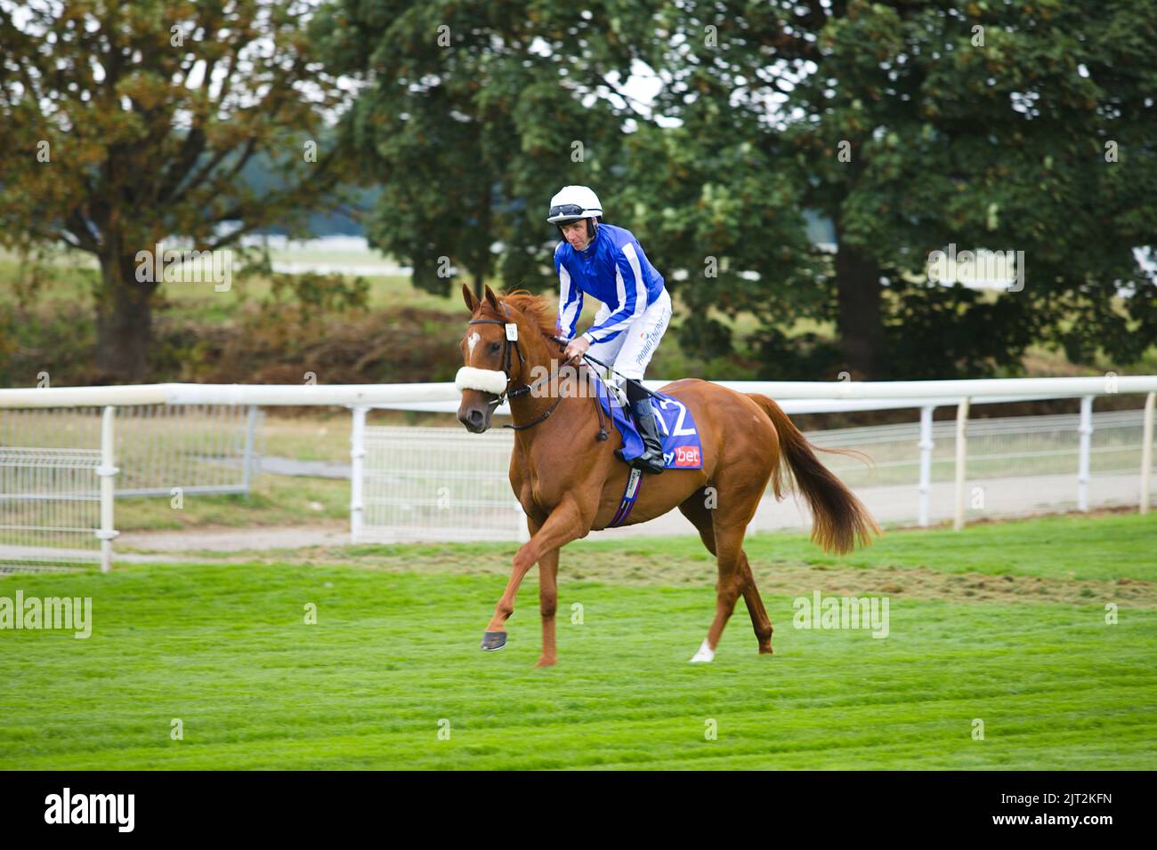 Jockey Tom Eaves riding Queen Me Stock Photo - Alamy