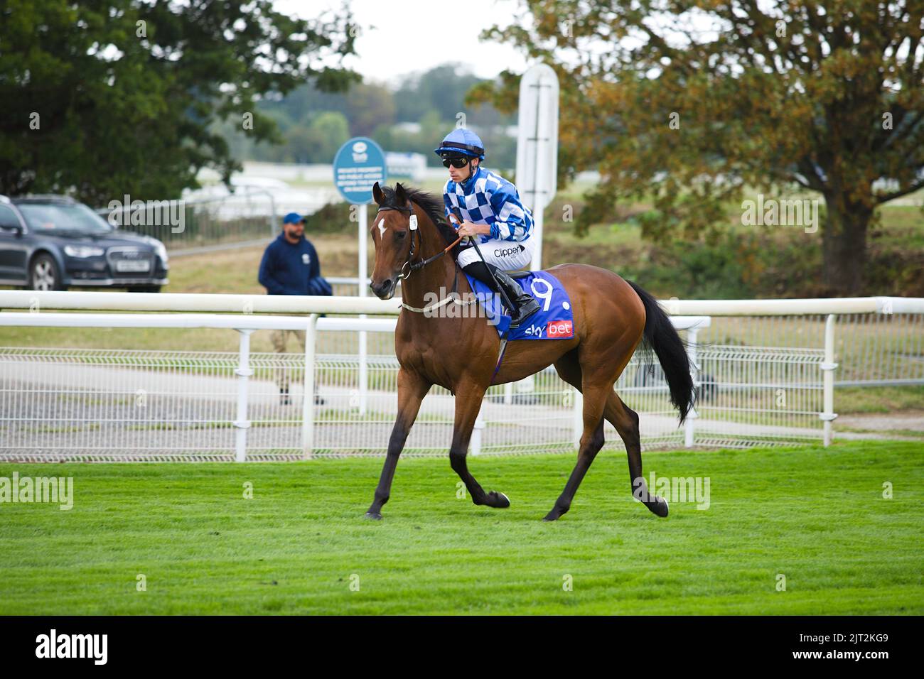 Jockey Kieran Shoemark riding Maria Branwell at York Races Stock Photo ...