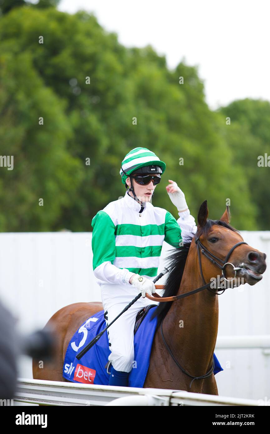 Jockey David Egan riding Kerindia at York Races Stock Photo - Alamy