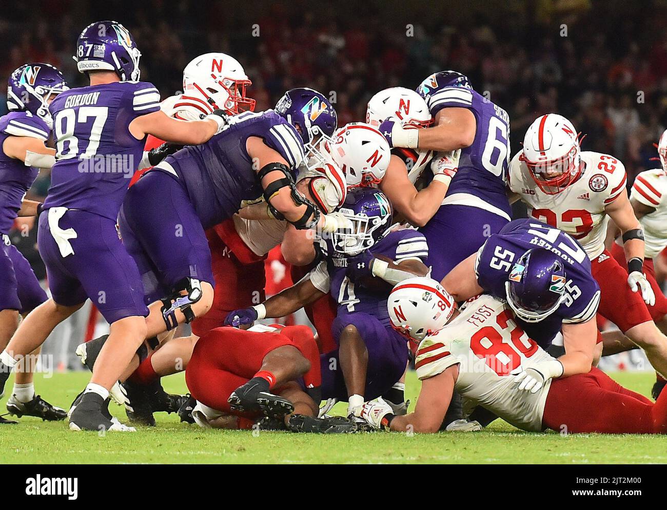 American feist hi-res stock photography and images - Alamy
