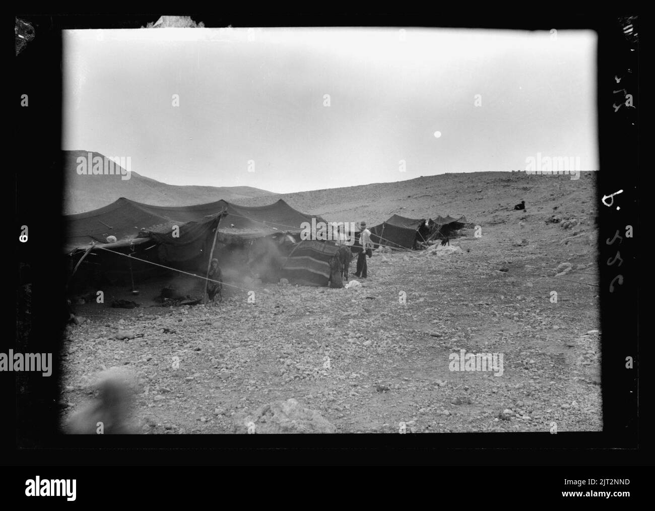 Trans-Jordan types. Bedouin tent life. (The end of the day sunset Stock ...