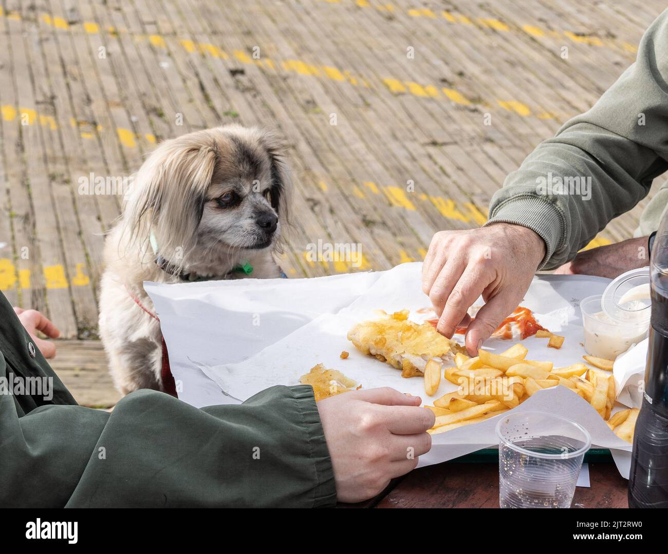 Battered hands hi-res stock photography and images - Alamy