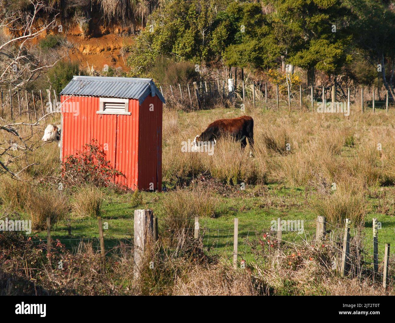 Grazing land paddocks hi-res stock photography and images - Alamy
