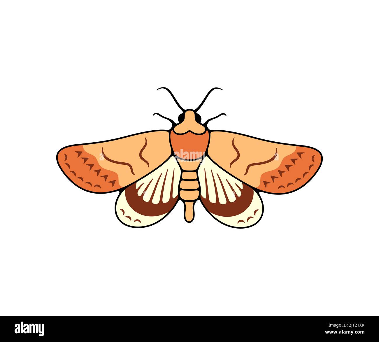 Motley nocturnal moth, butterfly and moth, logo design. Flying insects ...