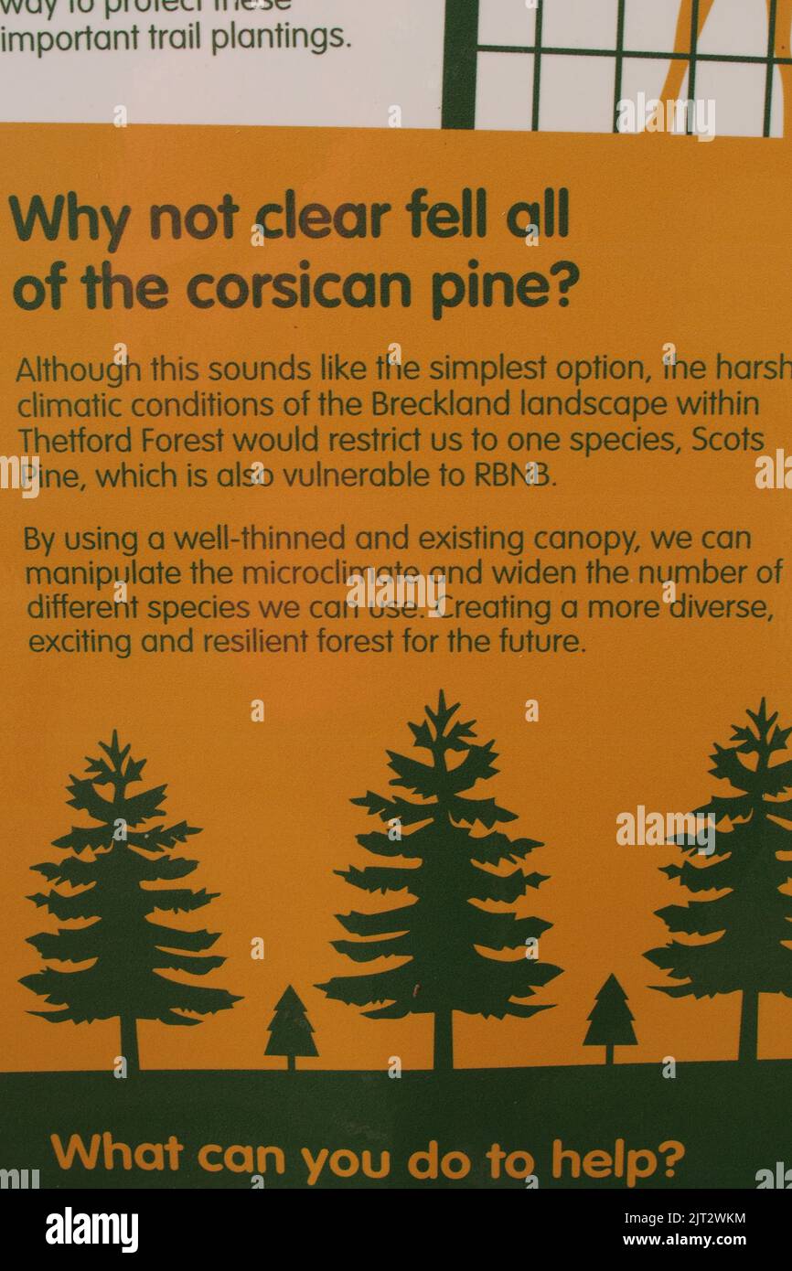Information board in Brandon Country park, Suffolk, England about tree ...