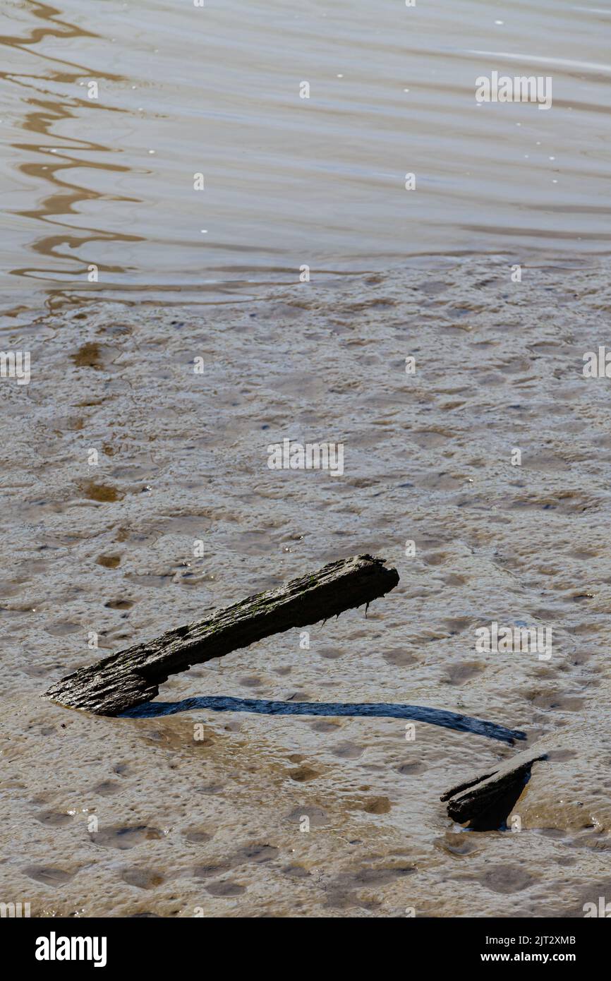 Abstract image of rotting wood protruding from a mudflat at low tide in ...