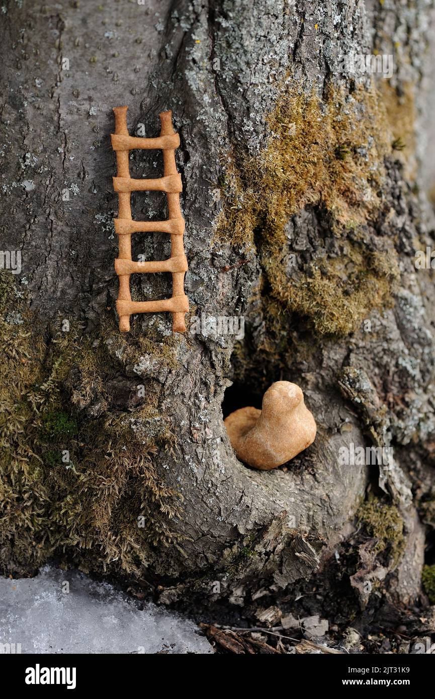 Stair cookie hi-res stock photography and images - Alamy