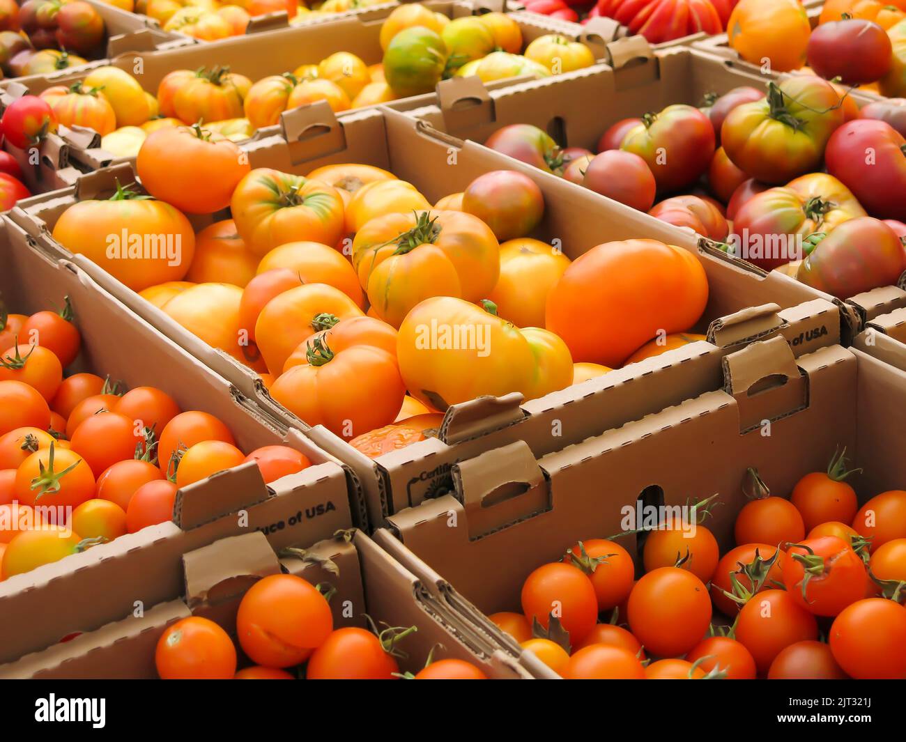 Tomatoes variety type choice hi-res stock photography and images - Alamy