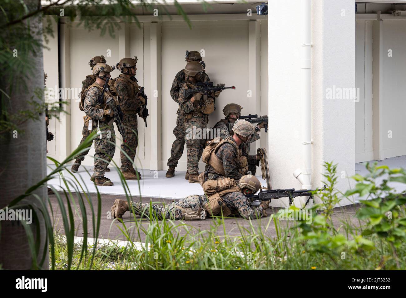 U.S. Marines with Battalion Landing Team 2/5, 31st Marine Expeditionary ...