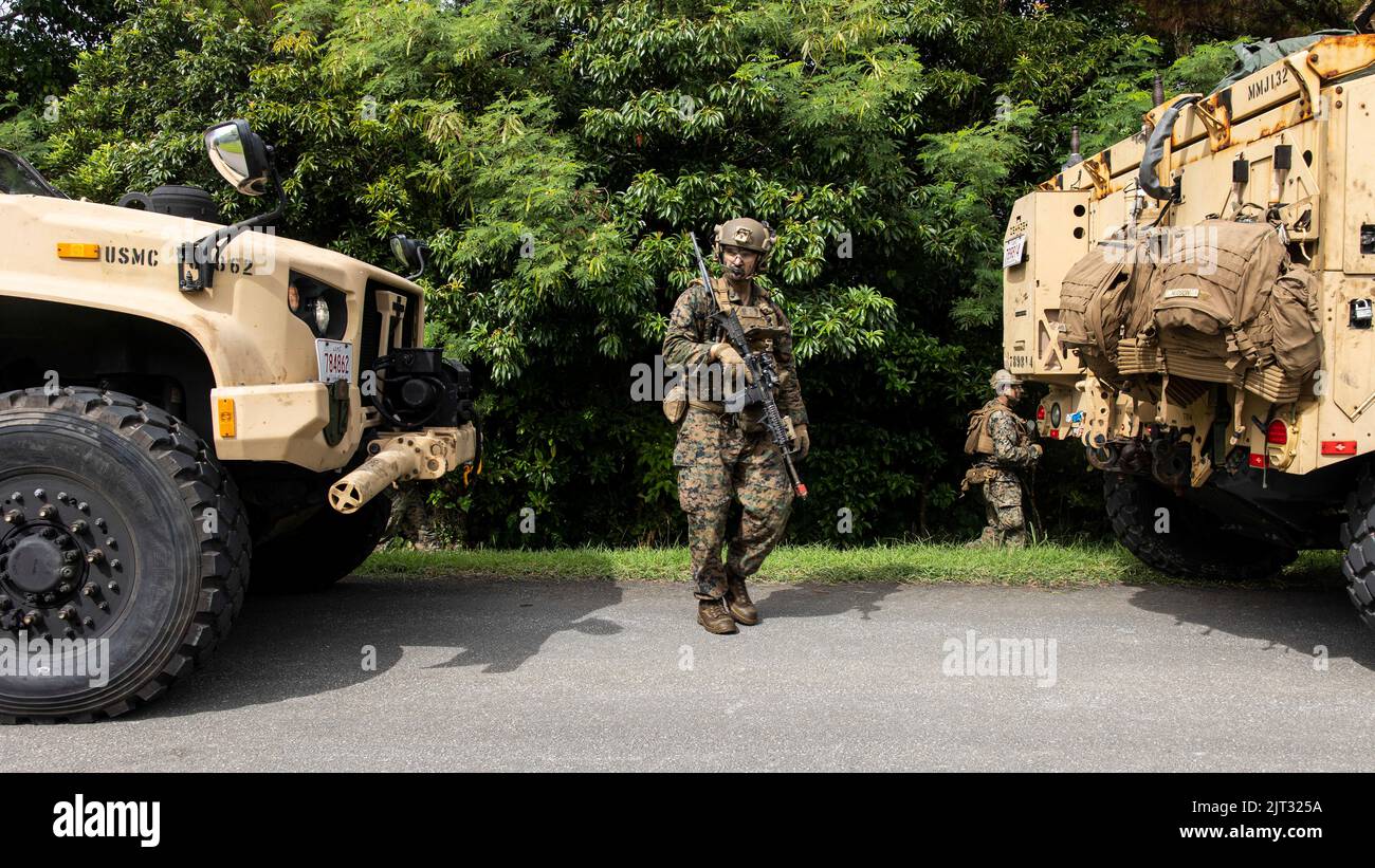 A U.S. Marine with Battalion Landing Team 2/5, 31st Marine ...