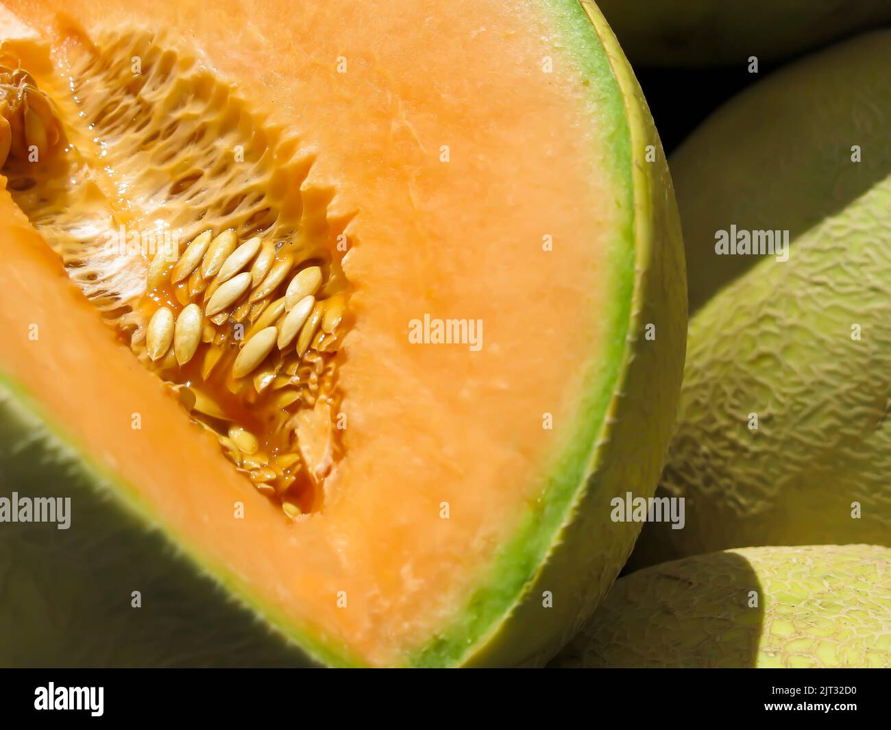 Cantaloupe on Display at Farmer's Market Stock Photo - Alamy