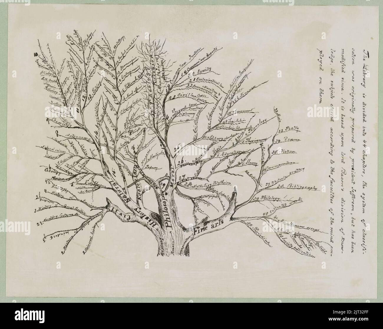 Tree of library classifications Stock Photo - Alamy