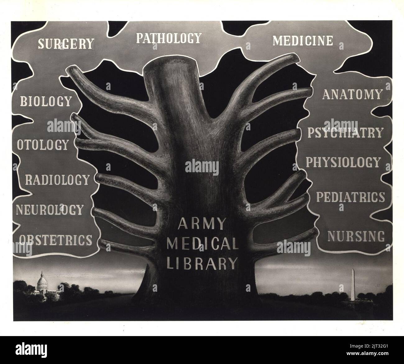 Tree of Medical Knowledge Stock Photo - Alamy