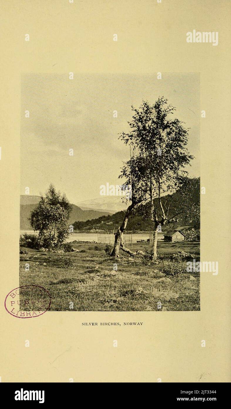 Trees in nature, myth and art (Plate) (6376505961 Stock Photo - Alamy