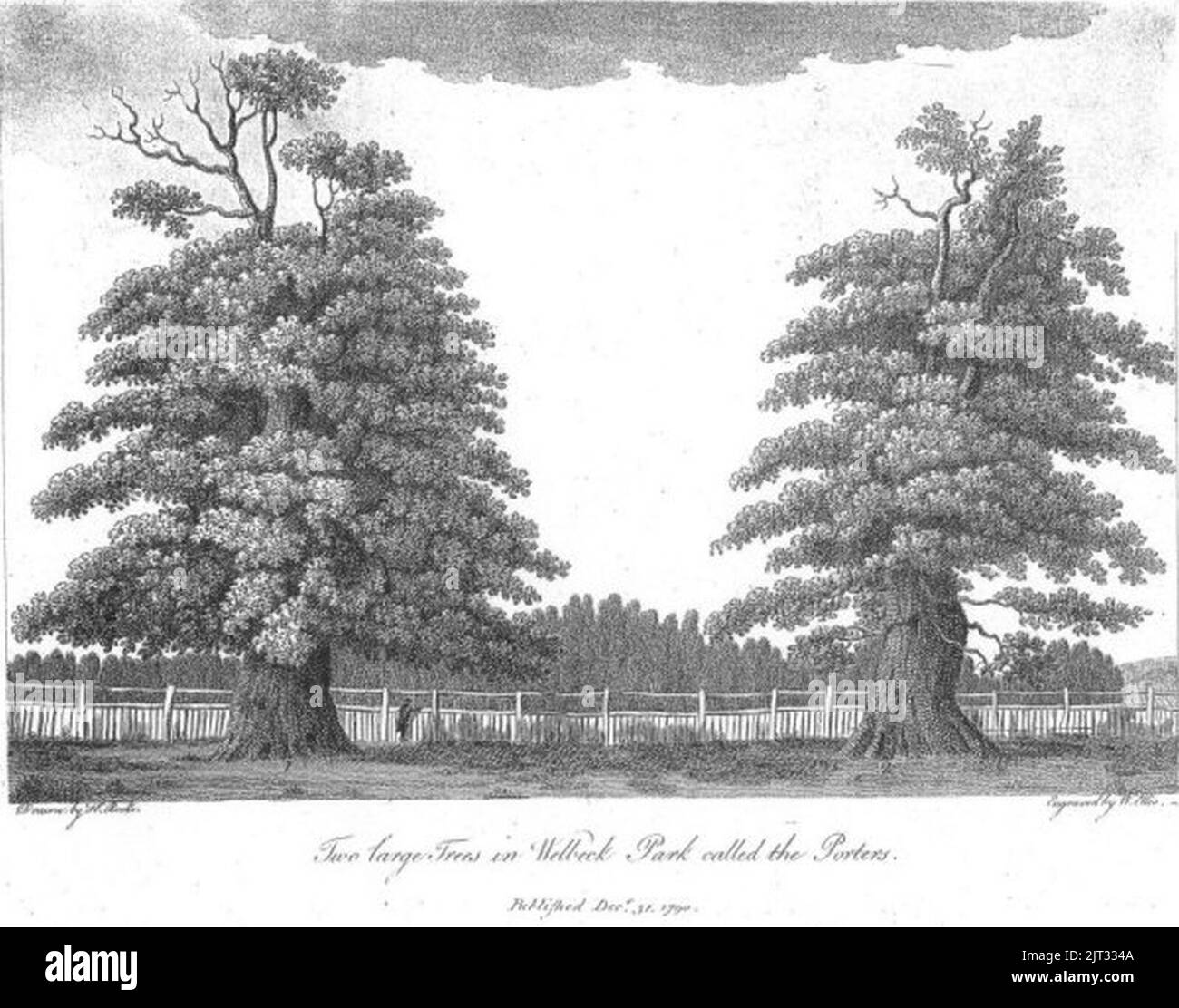 Trees called The Porters by Hayman Rooke 1790 Stock Photo - Alamy
