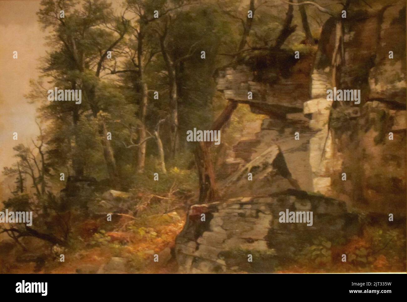 Trees on a Rocky Hillside by Asher B. Durand, c. 1849 Stock Photo - Alamy