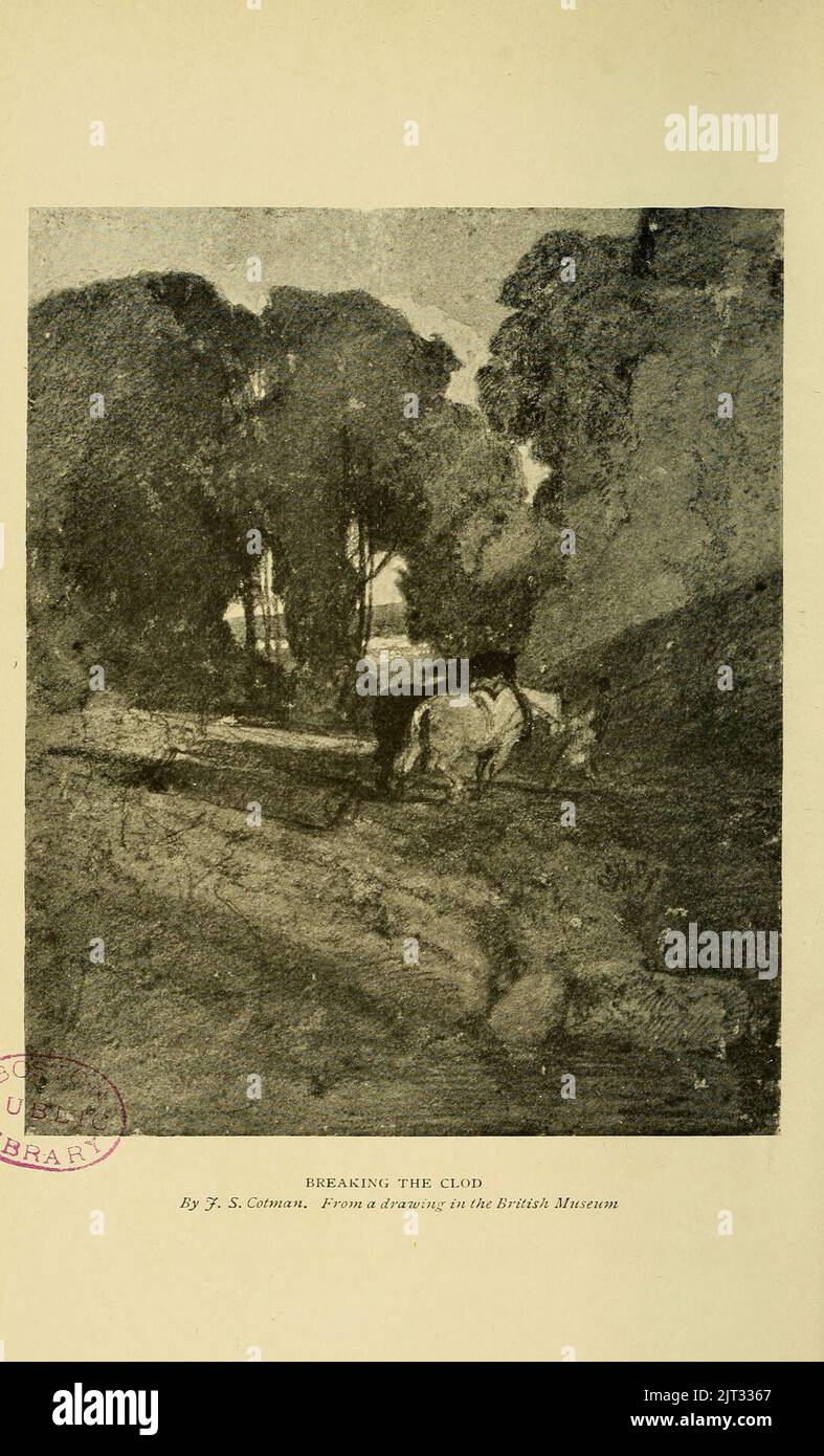 Trees in nature, myth and art (Plate) (6376516795 Stock Photo - Alamy