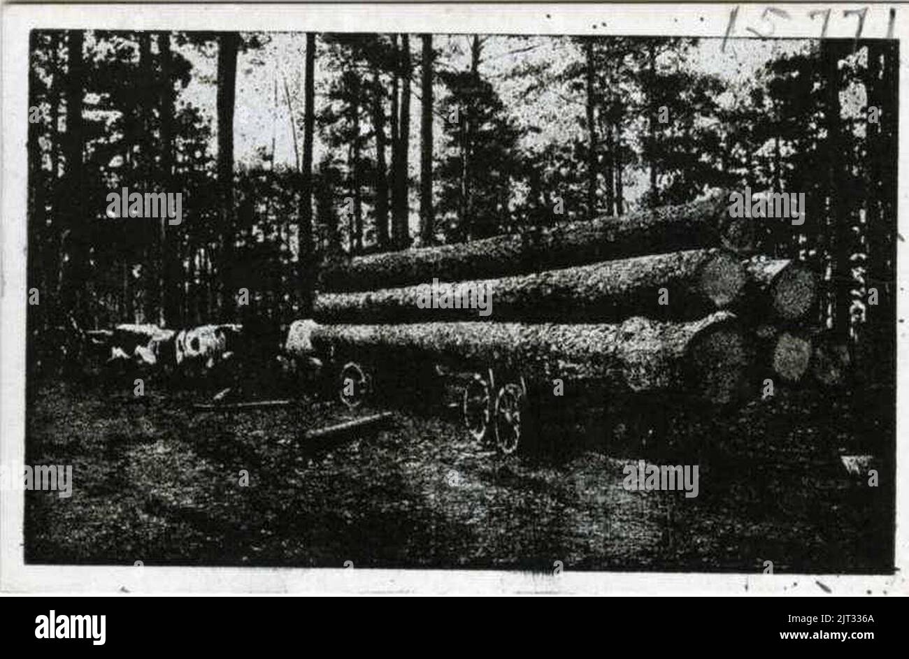 Trees on a wagon Stock Photo - Alamy