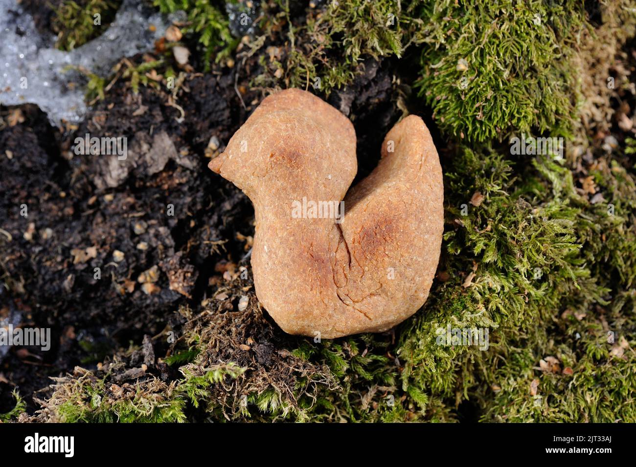 Zhavoronki, Russian rye cookies for spring equinox selebration in ...