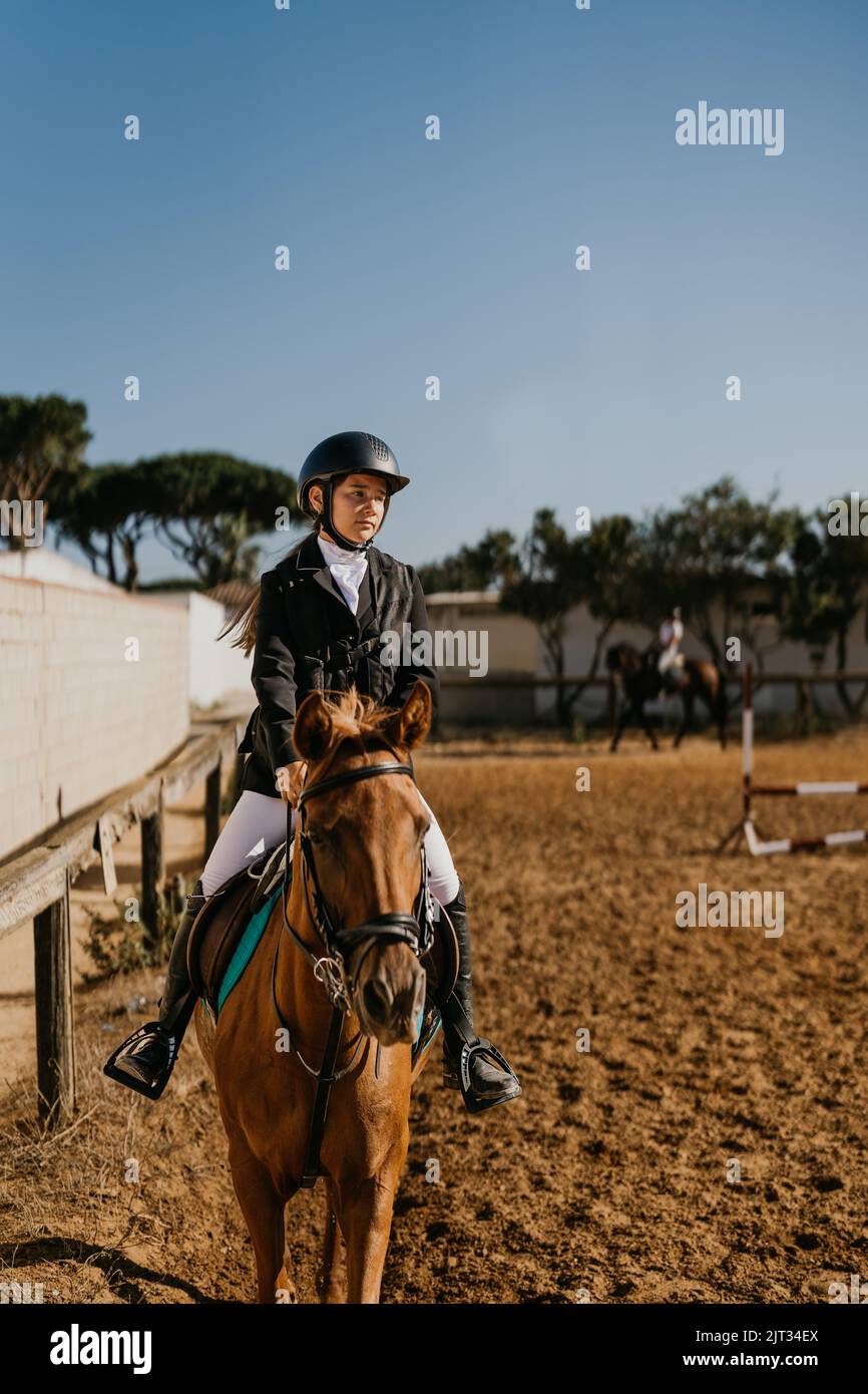 Warm up arena horse hi-res stock photography and images - Alamy