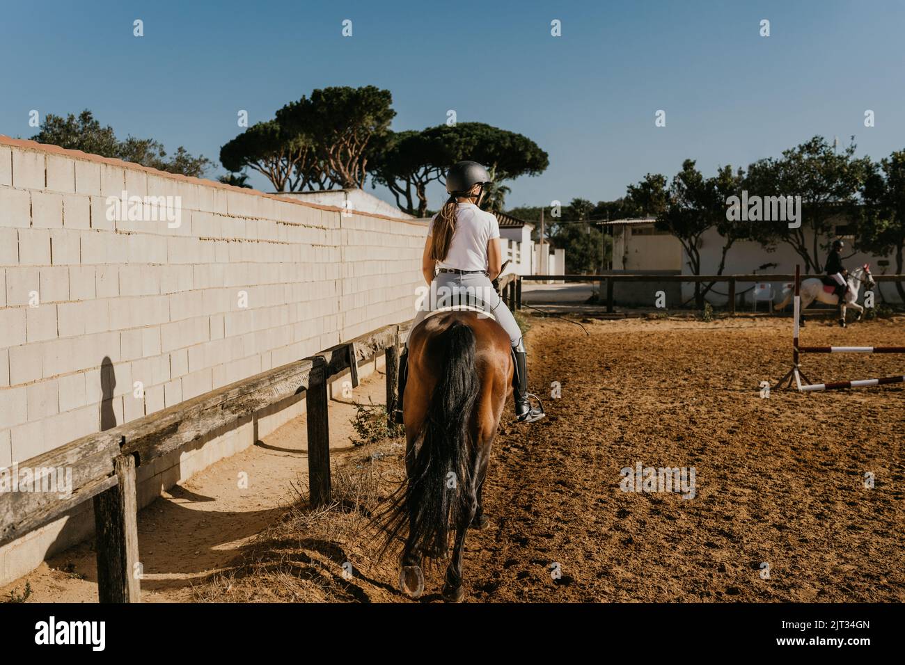 Rear up horse hi-res stock photography and images - Alamy