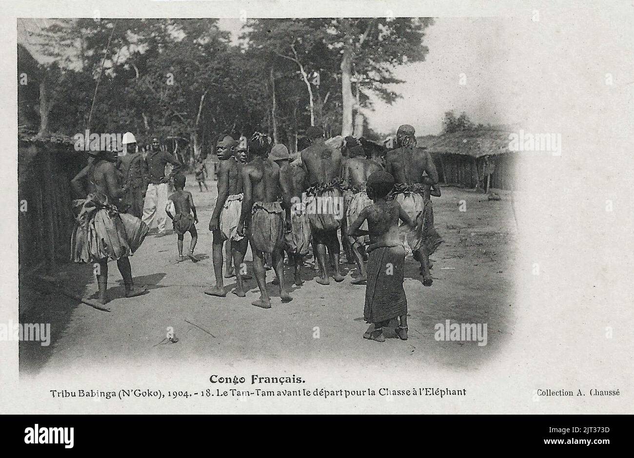 Tribu Babinga-Tam-tam avant le départ pour la chasse à l'éléphant (1904 ...