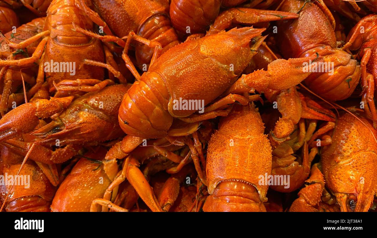 Natural background with boiled red crayfish Stock Photo - Alamy