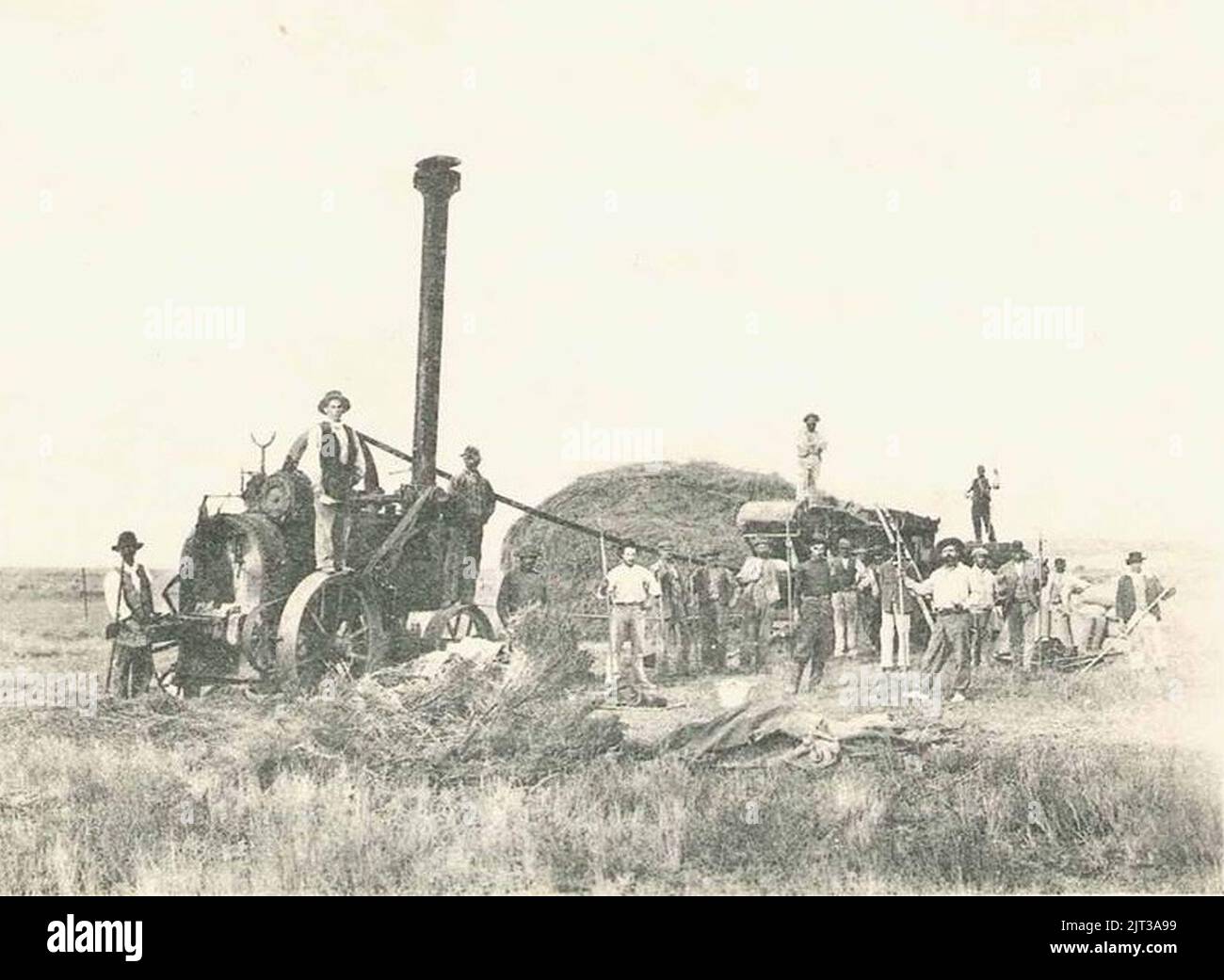 Trilla trilla hi-res stock photography and images - Alamy