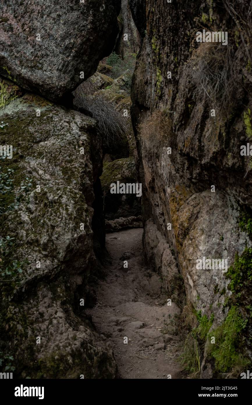 Hiking trail through narrow tunnel hi-res stock photography and images ...