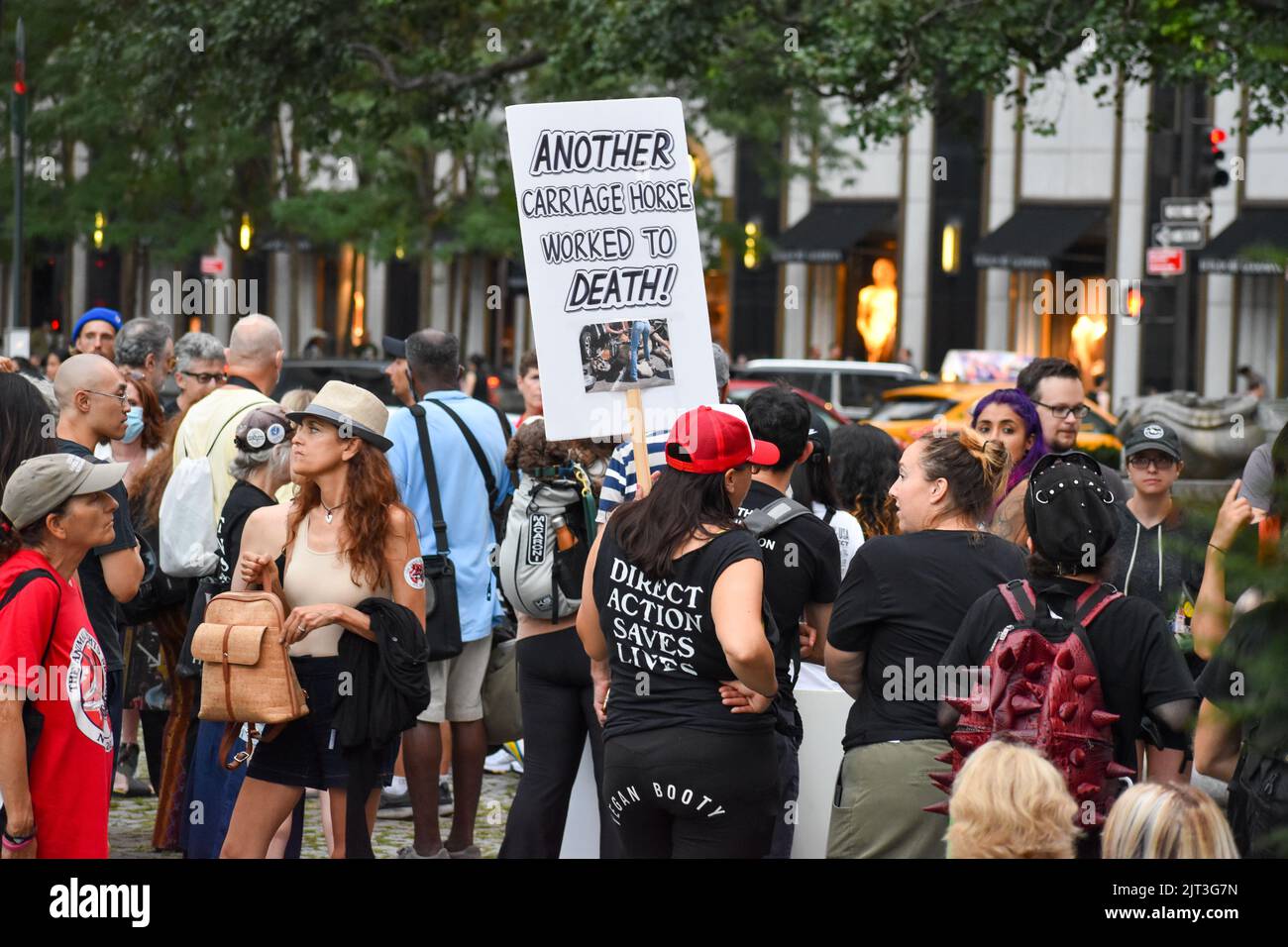 Rally participant is holding an animal anti-abuse sign in front of the ... Rally participant is holding an animal anti-abuse sign in front of the ...